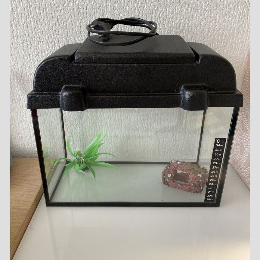 Аквариум 10 литров