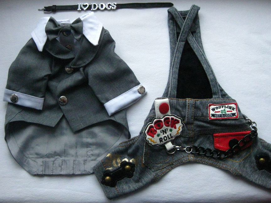 Одежда для маленьких собак