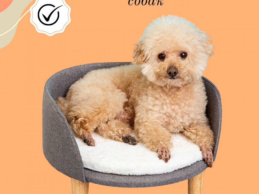 Диван для кошек