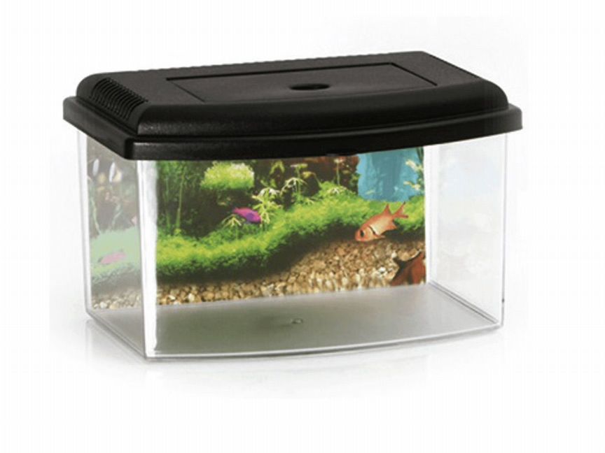 Террариум переноска дом для ахатины