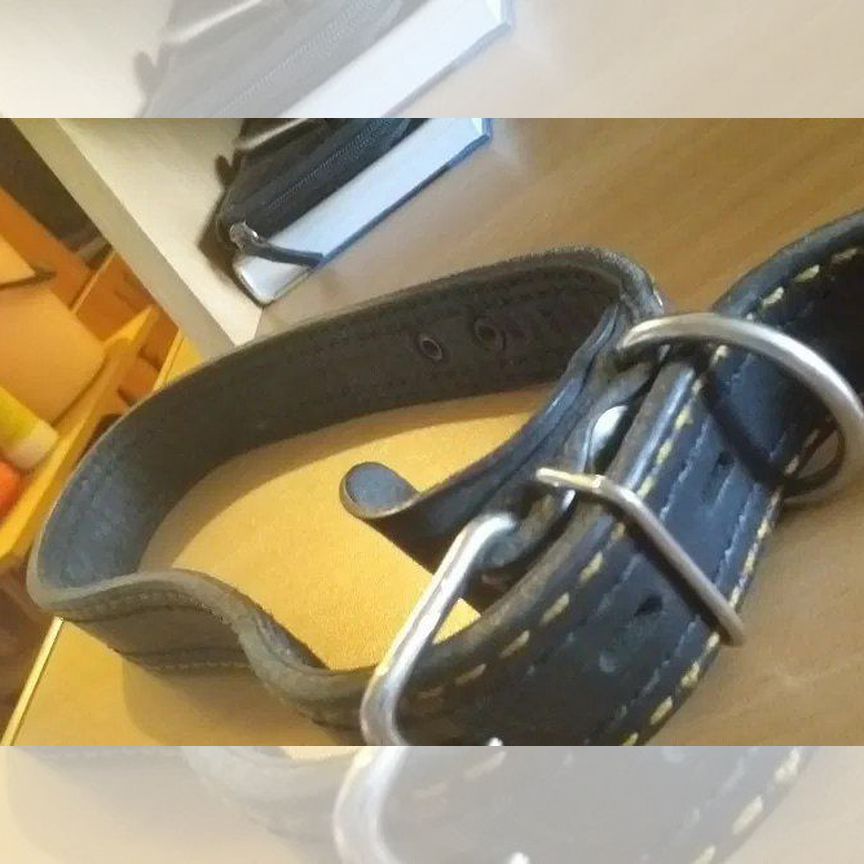 Ошейник для больших собак