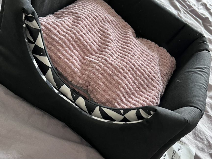 Домик для кошки новый, икеа