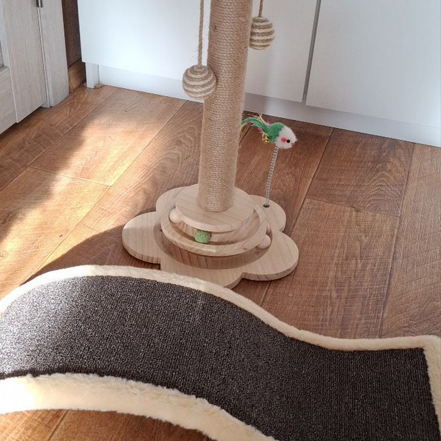 Когтеточка