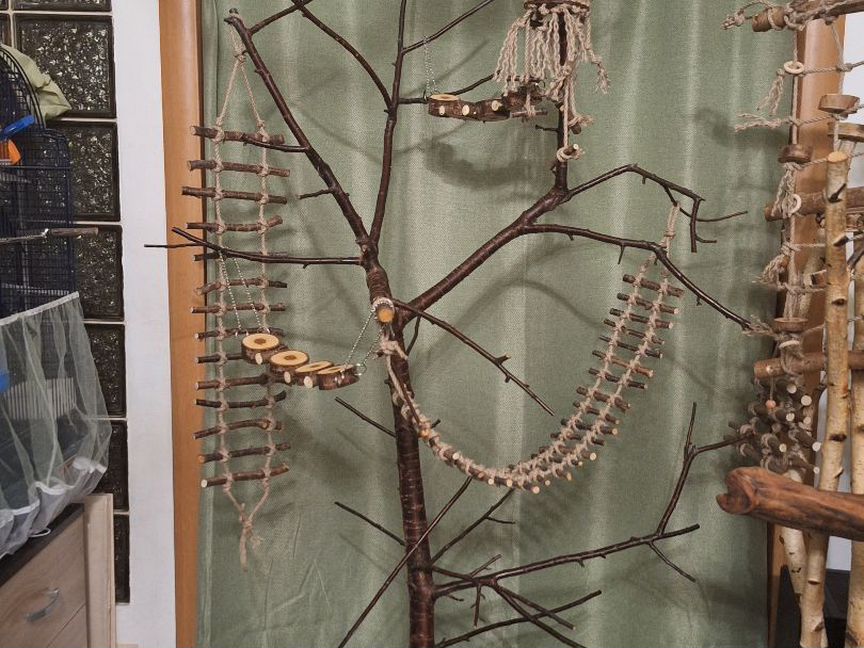 Дерево присада, лесенка, игрушка для попугая