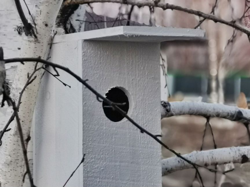 Скворечник деревянный крашеный