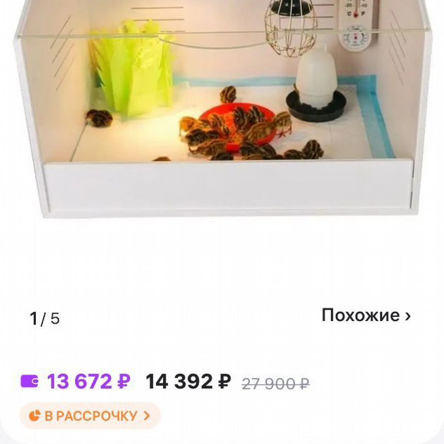 Брудер для цыплят бу