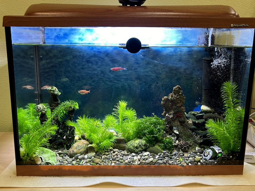 Аквариум акваплюс 72литра 60х40х30