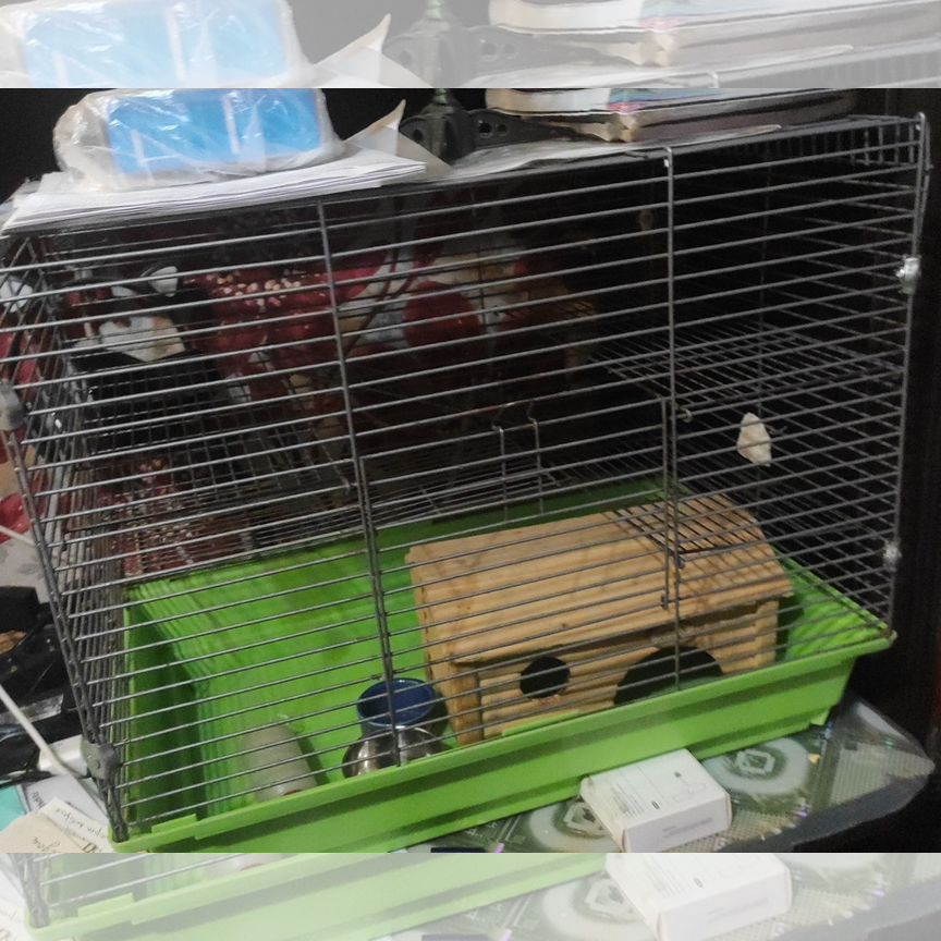 Клетка для крыс большая