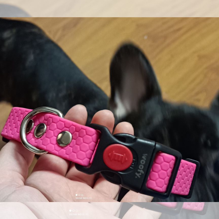 Ошейник для собак