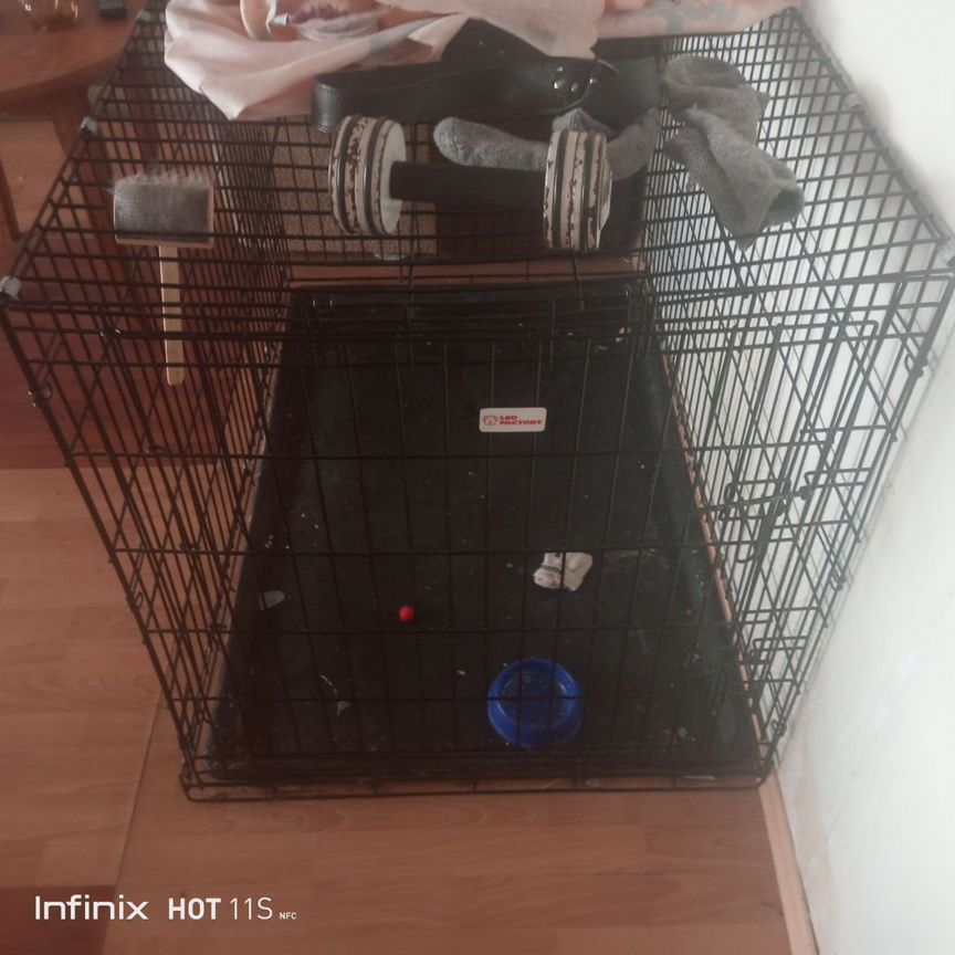 Собачья клетка