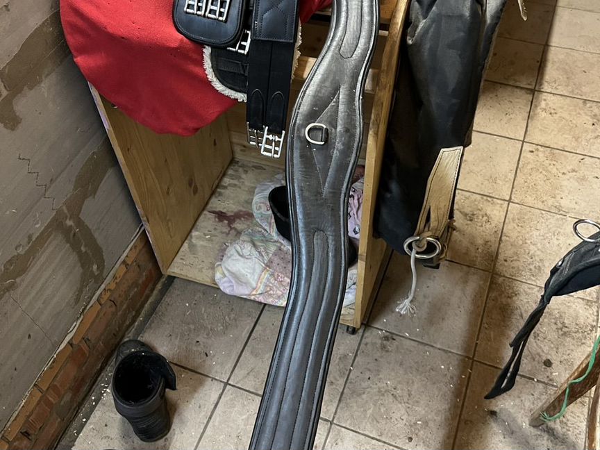 Подпруга для лошади 145