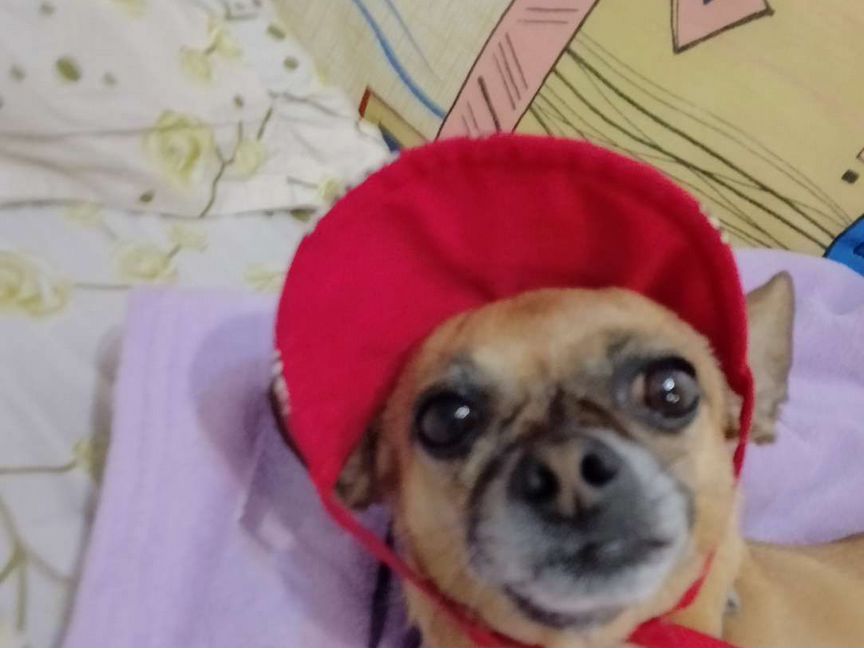 Ждем невесту