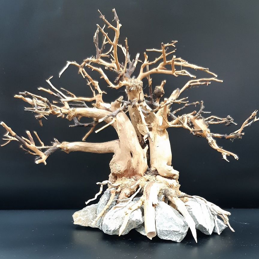 Коряга "Бонсай" 19х10х15см
