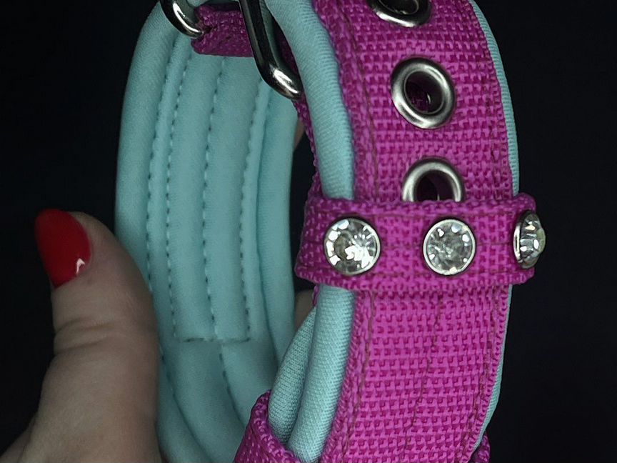 Ошейник для собак