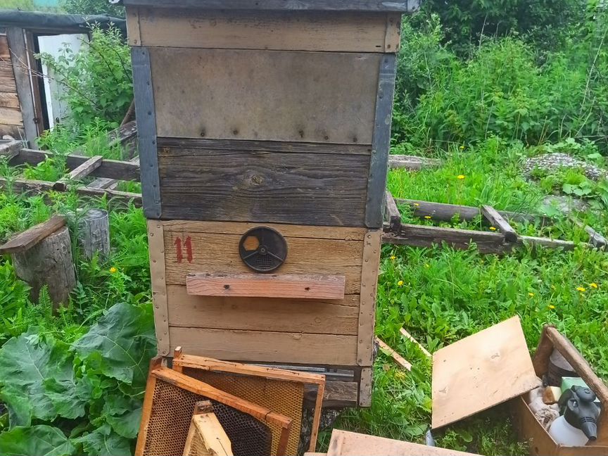 Ульи дадан 10 рамочные и сушь