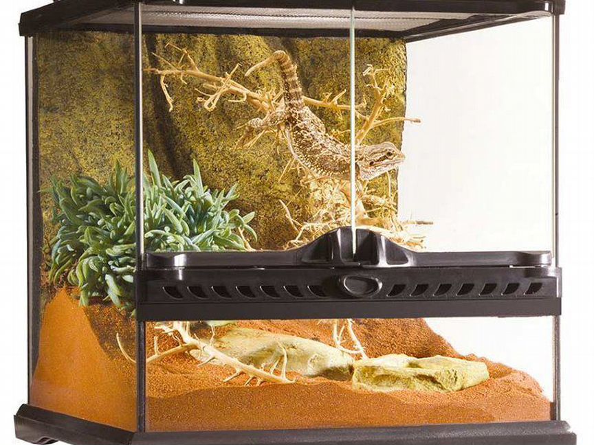 Террариум Exo Terra30*30*30