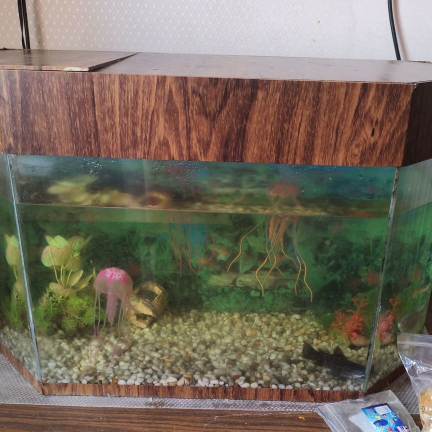 Аквариум с рыбками