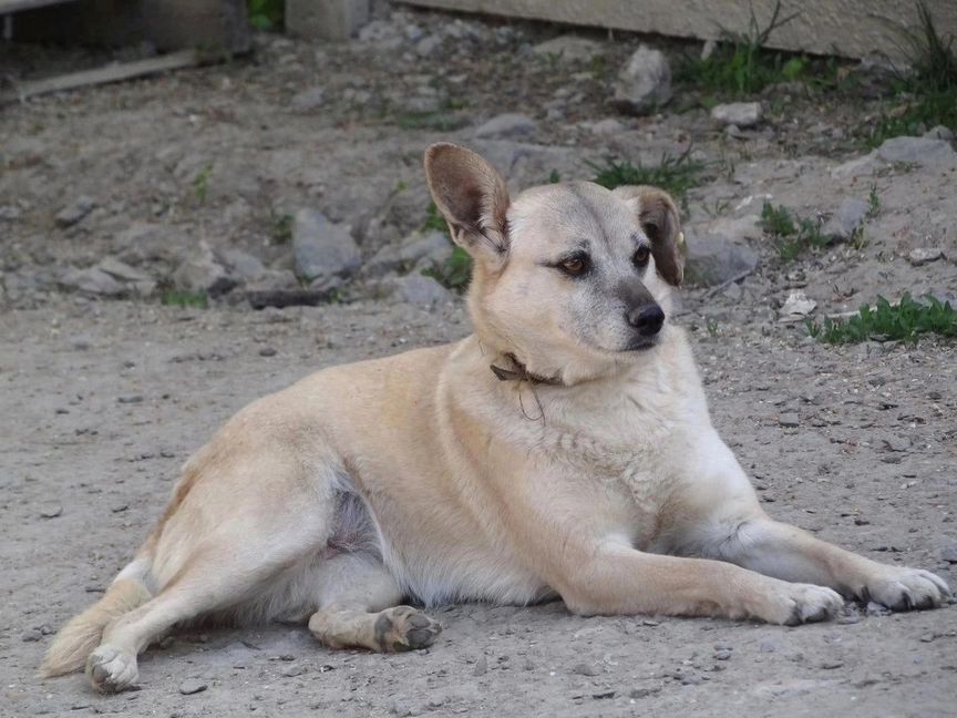 Белочка хочет домой