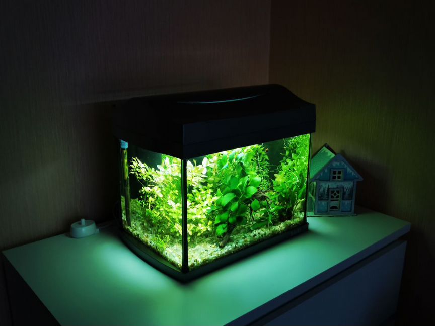 Аквариум Tetra AquaArt Shrimps Discover Line