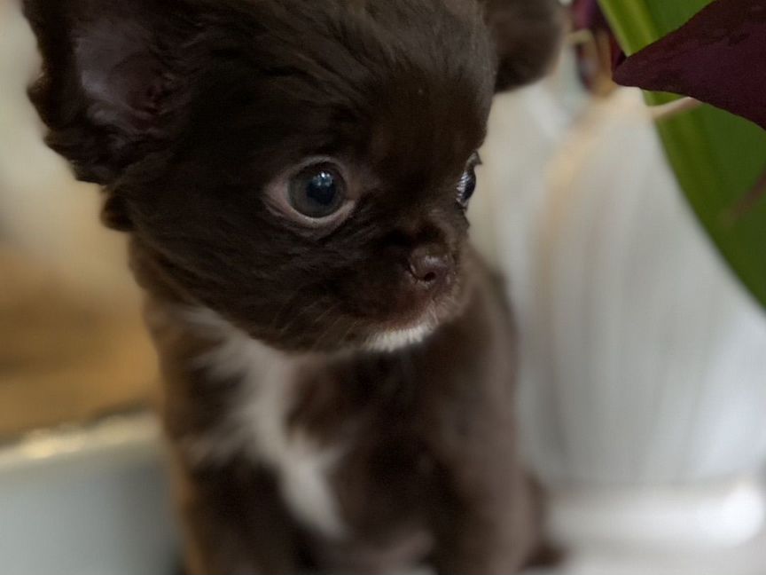 Девочка малышка