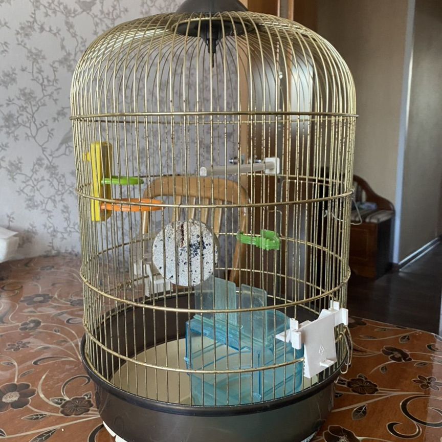 Клетка для попугайчика