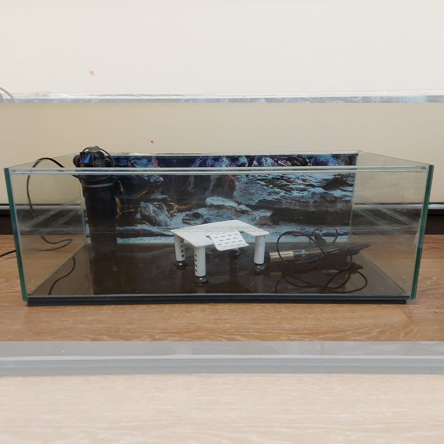 Аквариум для черепахи