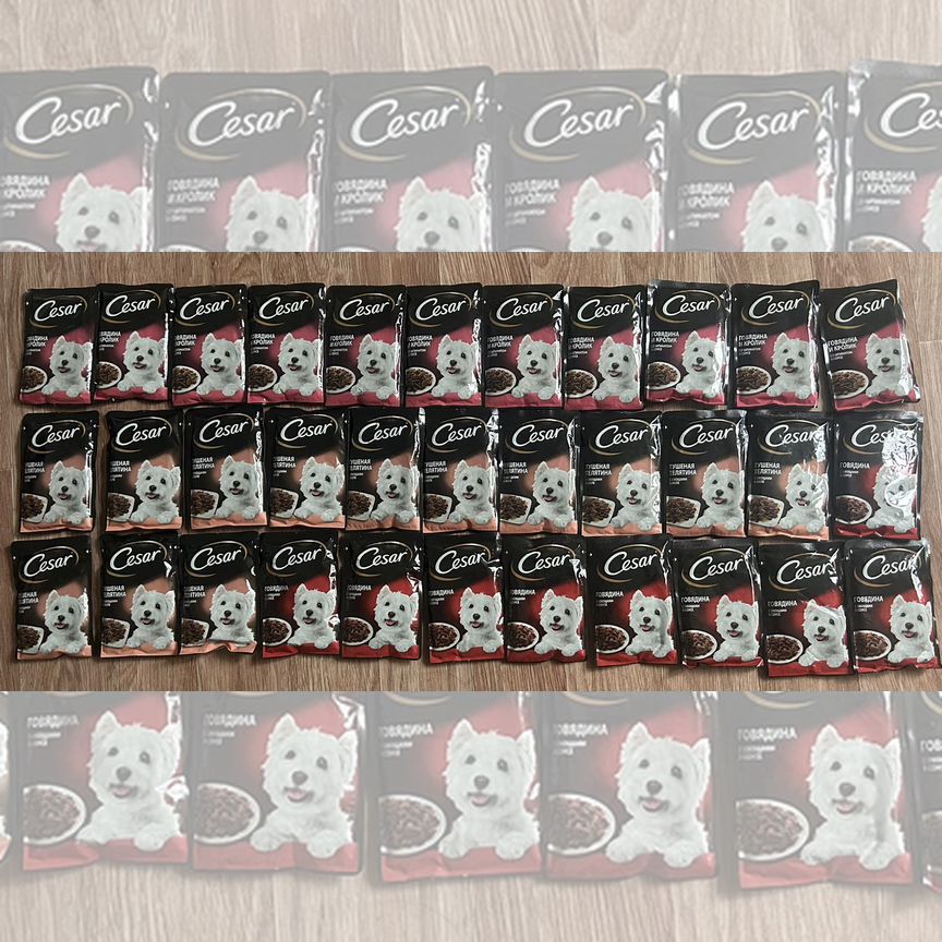Корм для собак cesar новый