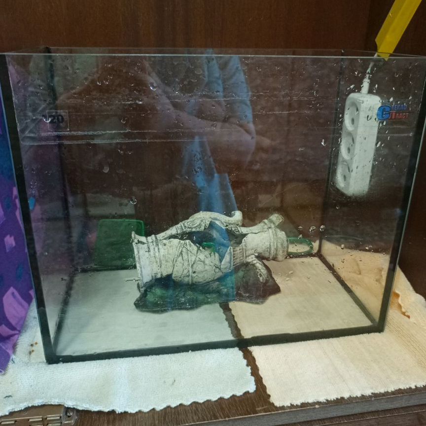 Аквариум