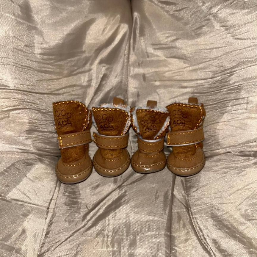 Ботинки зимние для котов