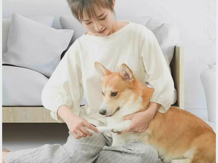Триммер для животных Xiaomi Pawbby Local Shaver MG
