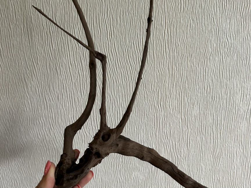 Коряги для аквариума