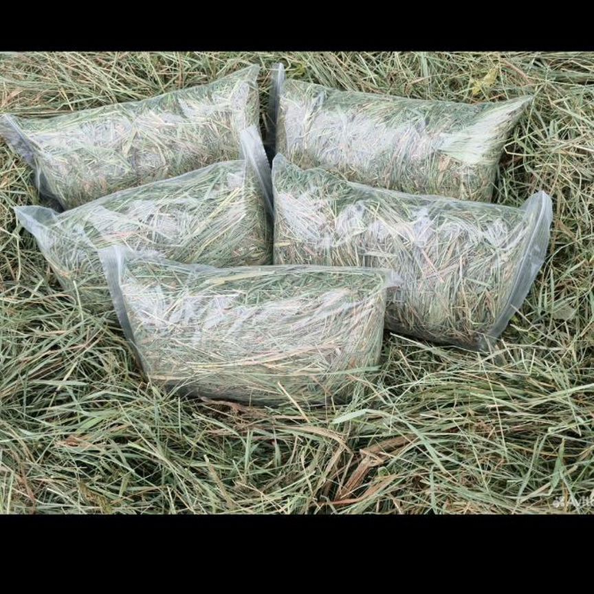 Душистое сено