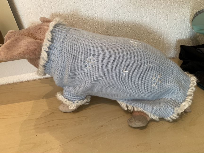 Одежда для маленькой собачки