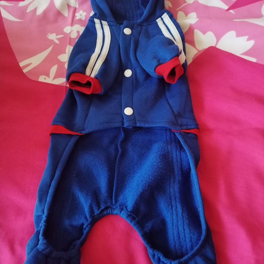 Комбинезон для маленькой собаки