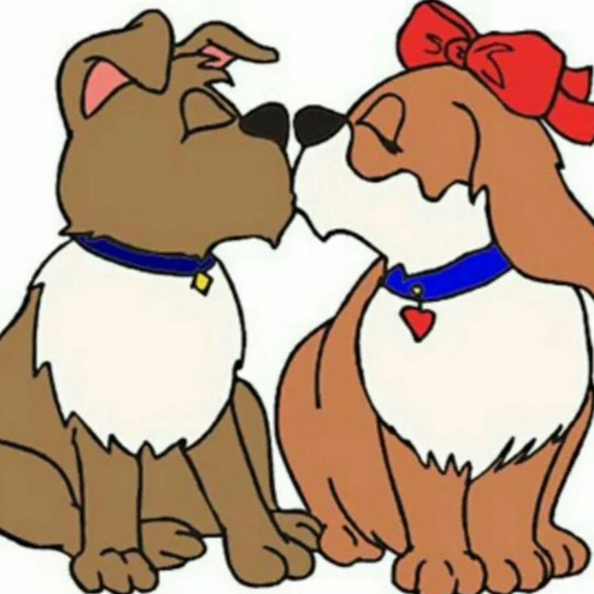 Инструктор по вязке собак