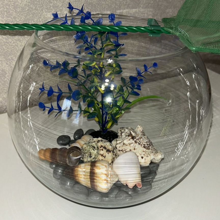 Аквариум для рыбки петушка