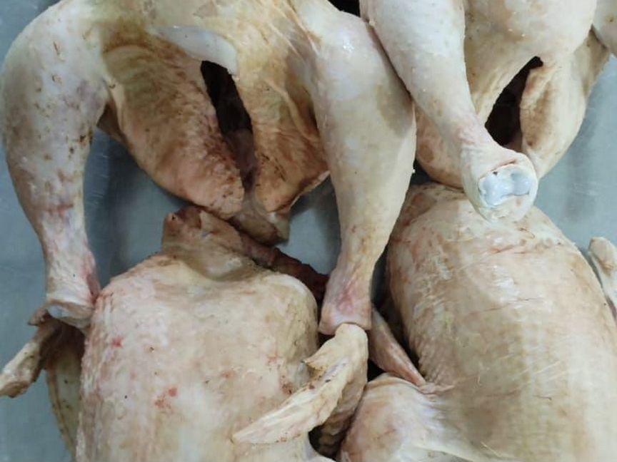 Цыплята бройлеры мясо