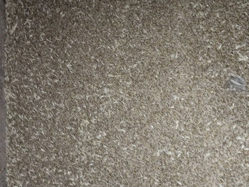 Зерно :пшеница, ячмень, горох