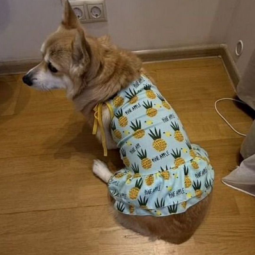 Платье для собаки размер M