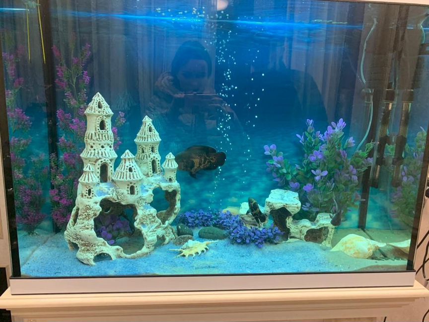 Аквариум 210 (литров )