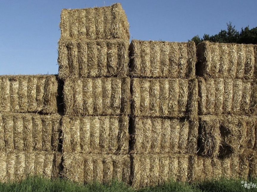 Сено