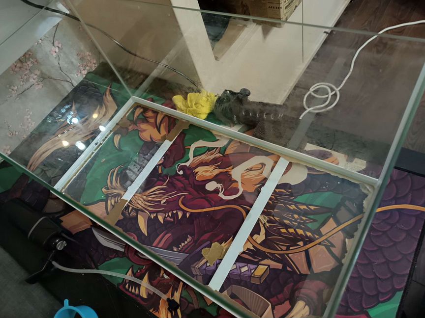 Аквариум, террариум