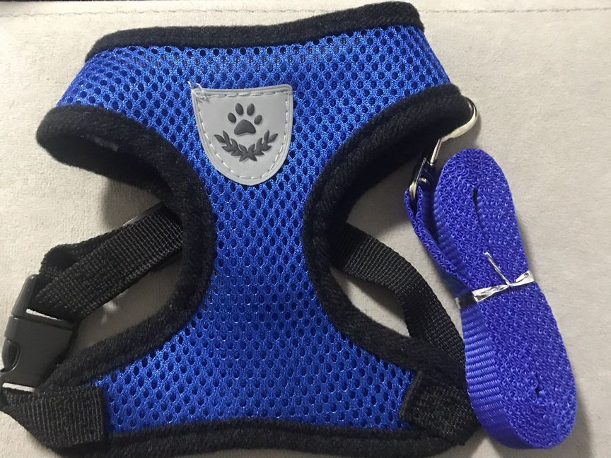 Шлейка для маленькой собаки