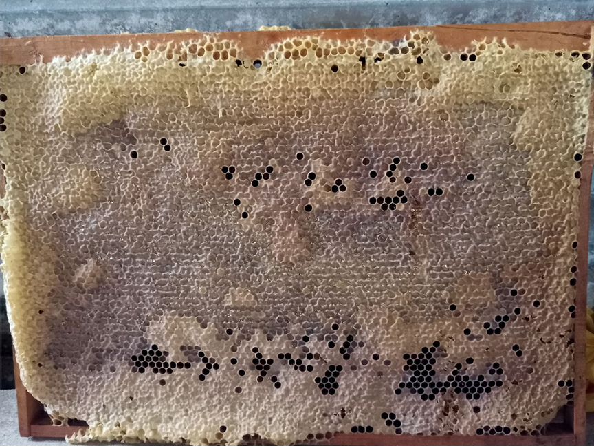 Сушь с мёдом