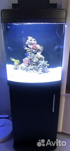 Морской мини аквариум