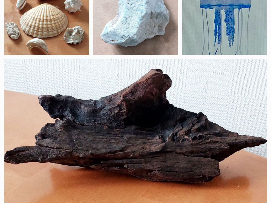 Коряга из мангры и др.аксессуары для аквариума