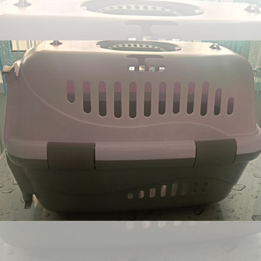 Переноска для кошек пластиковая