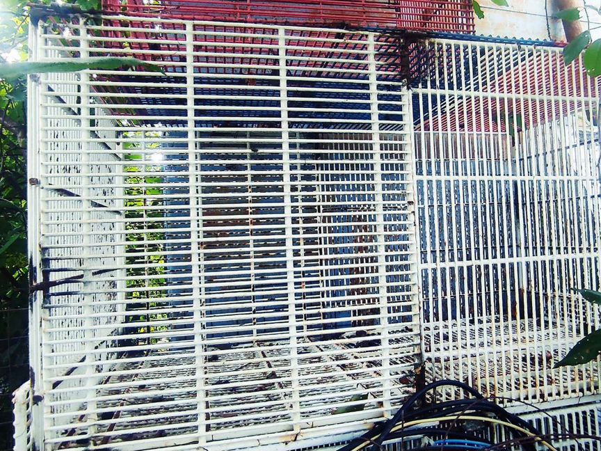 Клетки для животных