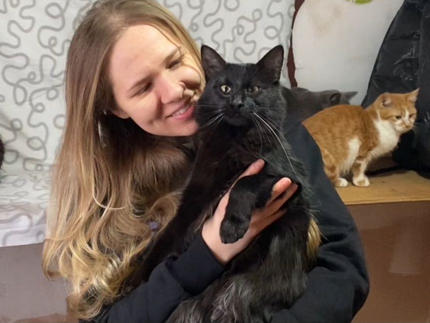 Котенок подросток в добрые руки