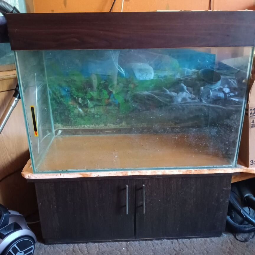 Аквариум большой